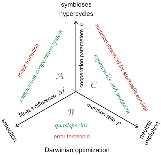 Entropy | Free Full-Text | Increase in Complexity and Information ...