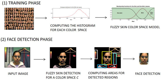 Face Detection Based on Skin Color Segmentation Using Fuzzy Entropy