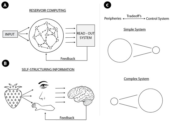 Entropy Special Issue Information Processing And Embodied Embedded Enactive Cognition Part 1