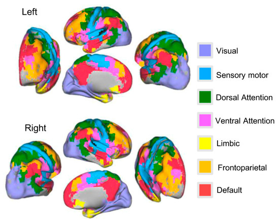 Lifespan Development of the Human Brain Revealed by Large-Scale Network ...