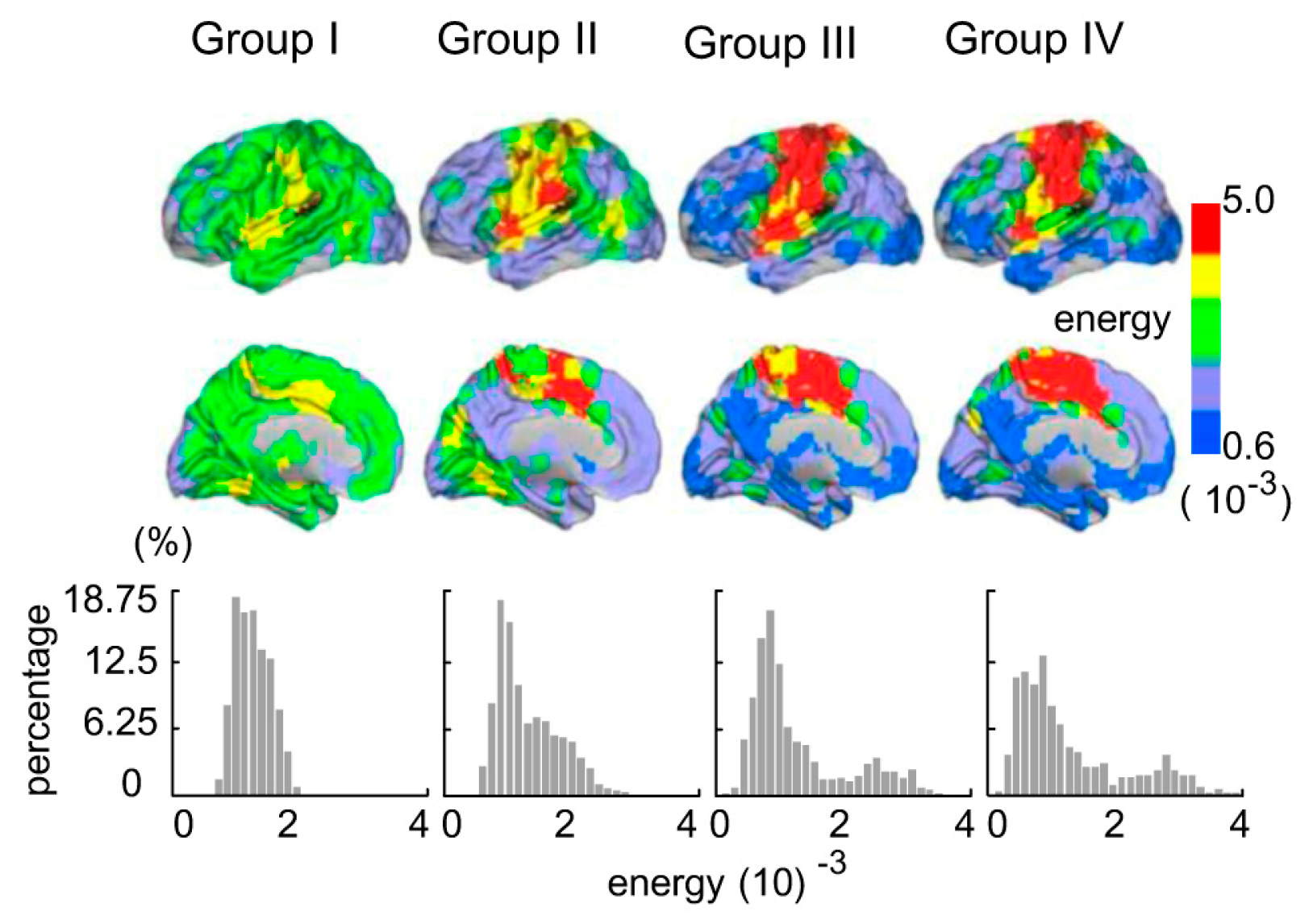 Entropy Free Full Text Lifespan Development Of The Human Brain Revealed By Large Scale