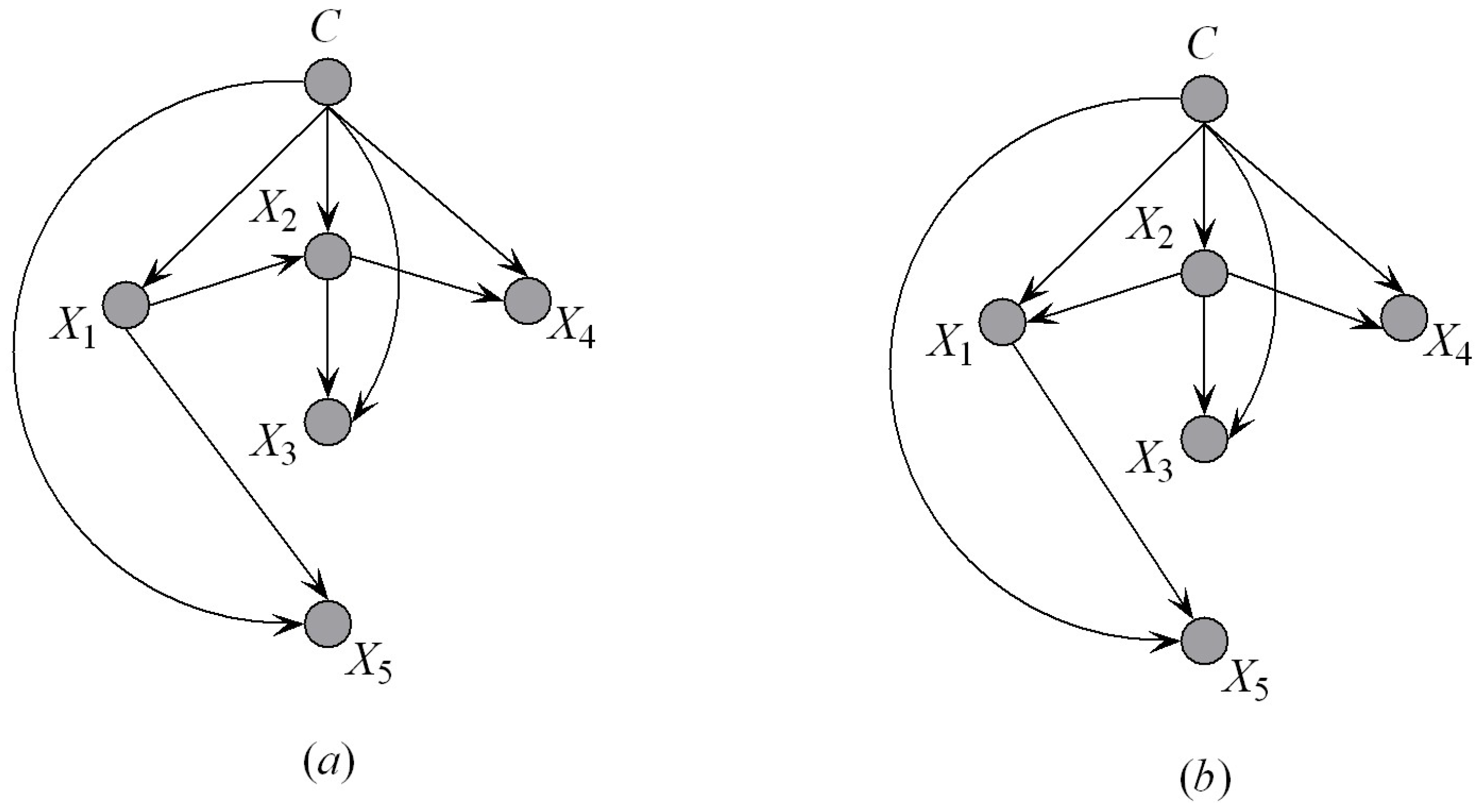 K-Dependence Bayesian Classifier Ensemble