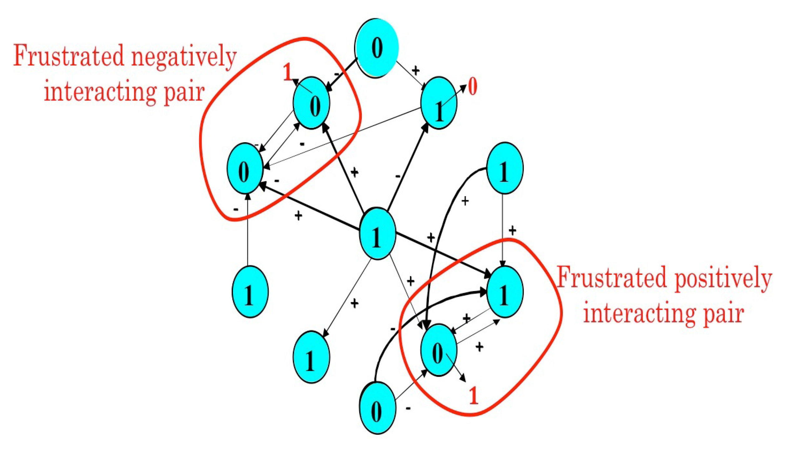 Biological Networks Entropies: Examples in Neural Memory Networks ...