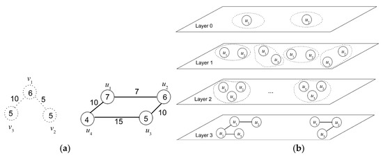 Entropy | Special Issue : Graph and Network Entropies