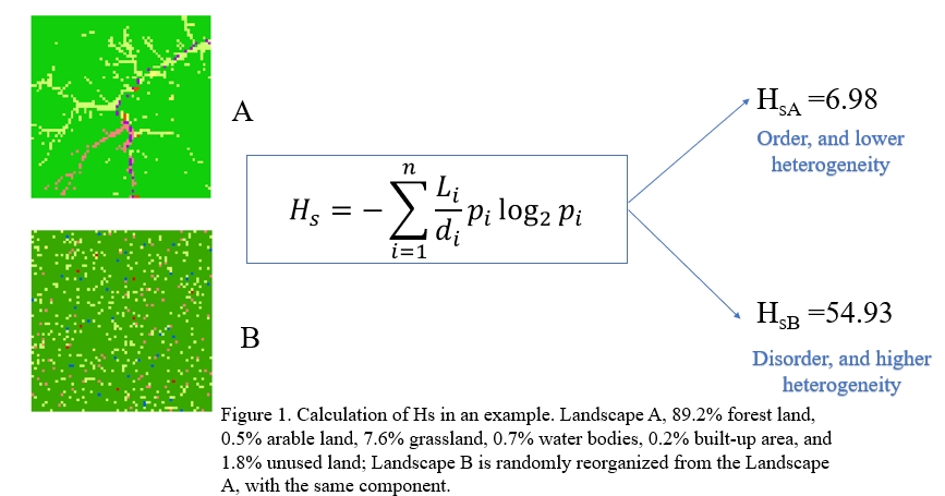 Entropy Free Full Text Spatial Heterogeneity Analysis Introducing A New Form Of Spatial Entropy