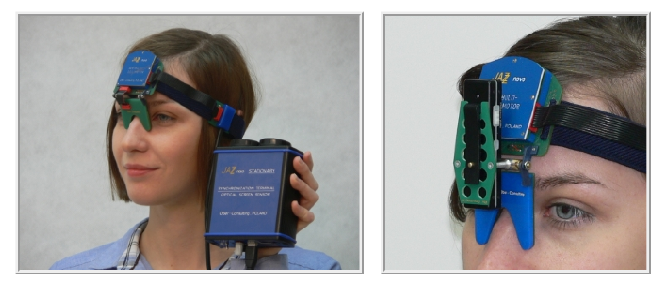 An Analysis of Entropy-Based Eye Movement Events Detection