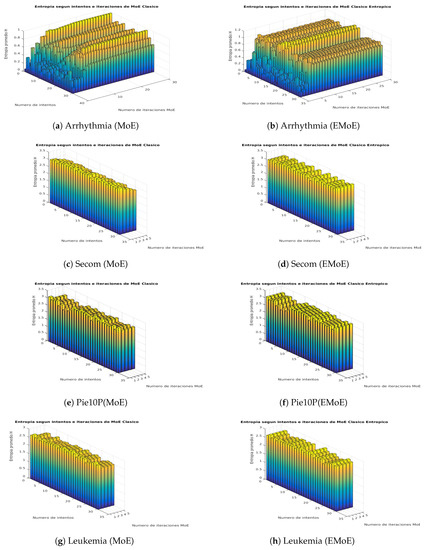 Mixture of Experts with Entropic Regularization for Data Classification