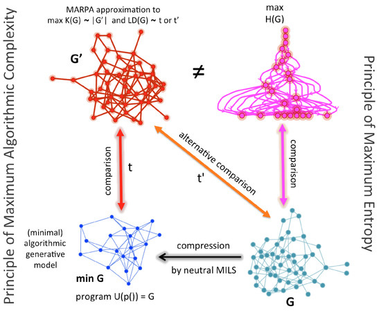Entropy | Special Issue : Entropy Production and Its Applications: From Cosmology to Biology