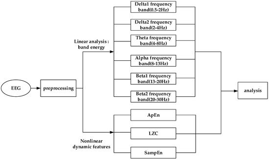 Increased Sample Entropy in EEGs During the Functional Rehabilitation ...