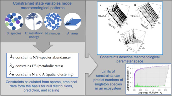 Entropy | Special Issue : Information Theory Applications in Biology