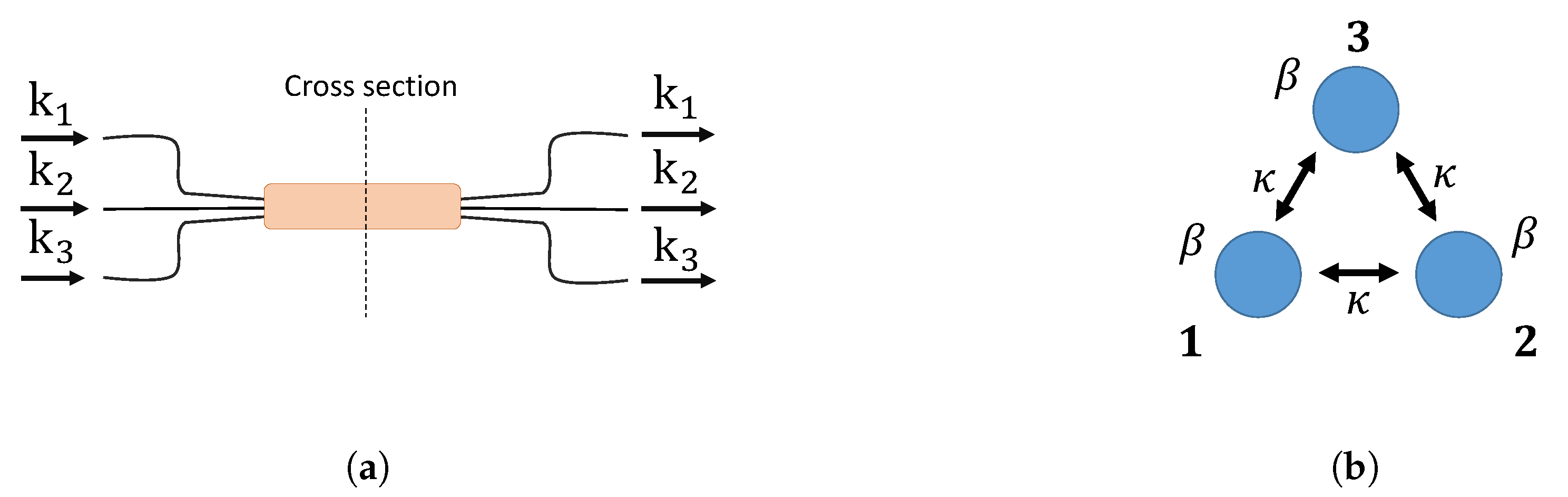 Directionally-Unbiased Unitary Optical Devices in Discrete-Time Quantum ...