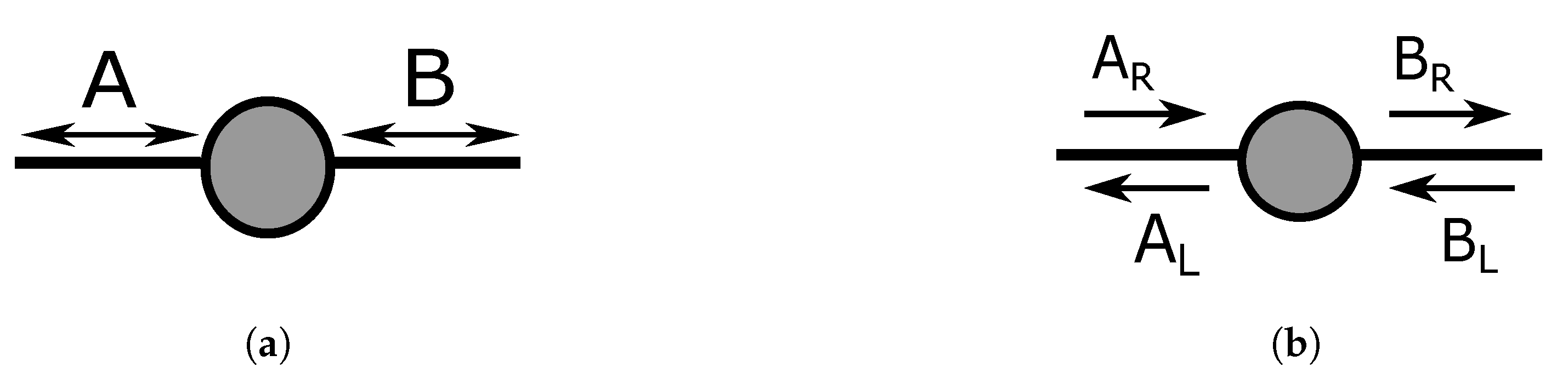 Directionally-Unbiased Unitary Optical Devices in Discrete-Time Quantum ...