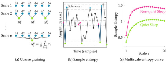 Entropy | Free Full-Text | Decomposition of a Multiscale Entropy Tensor for Sleep Stage ...
