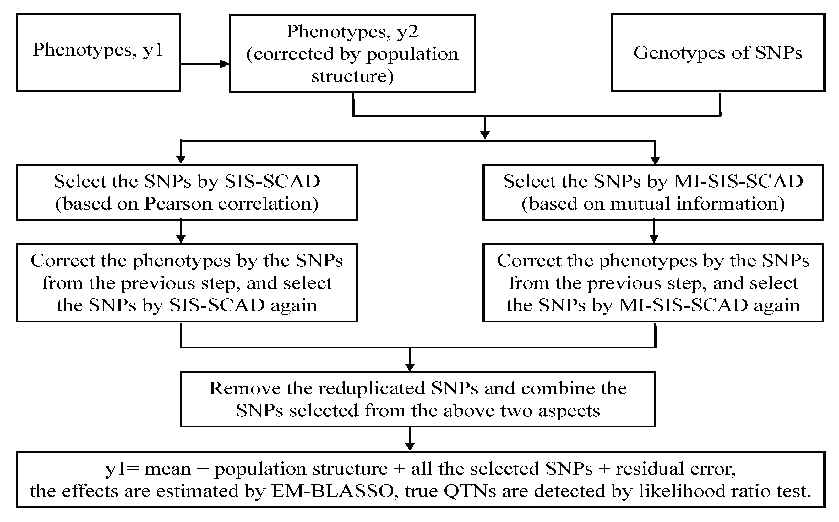 A Two-Stage Mutual Information Based Bayesian Lasso Algorithm for Multi ...