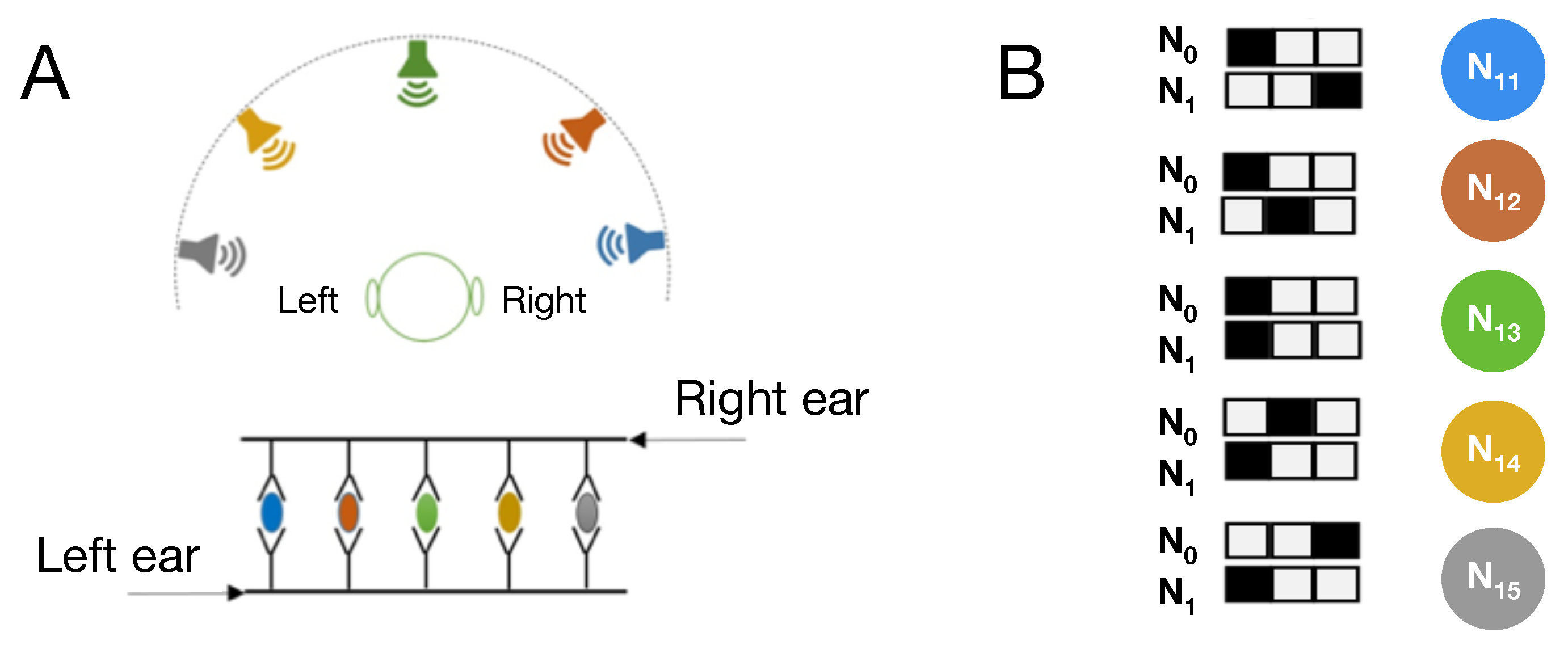 Can Transfer Entropy Infer Information Flow in Neuronal Circuits for ...
