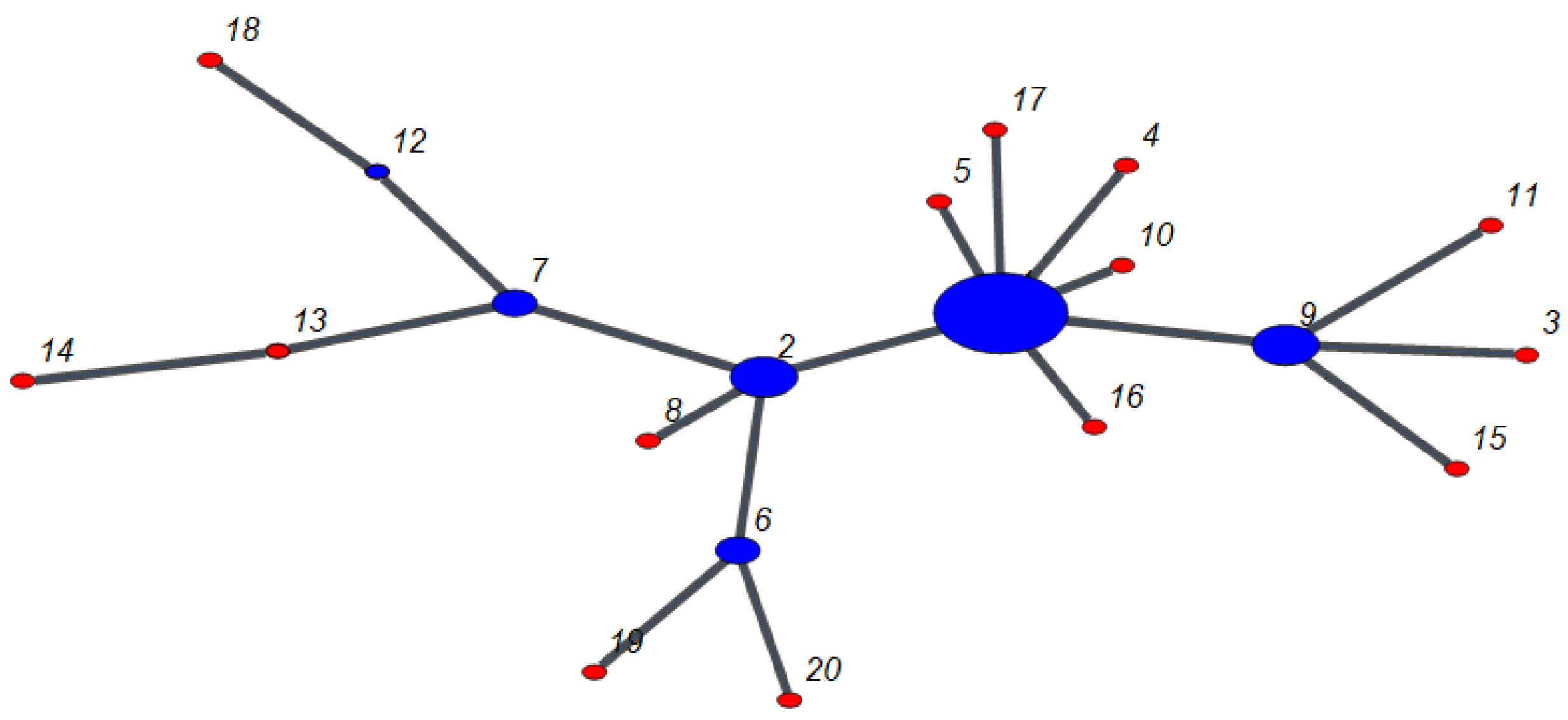 The Fractional Preferential Attachment Scale-Free Network Model