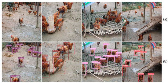 Estimation of the Gender Ratio of Chickens Based on Computer Vision ...