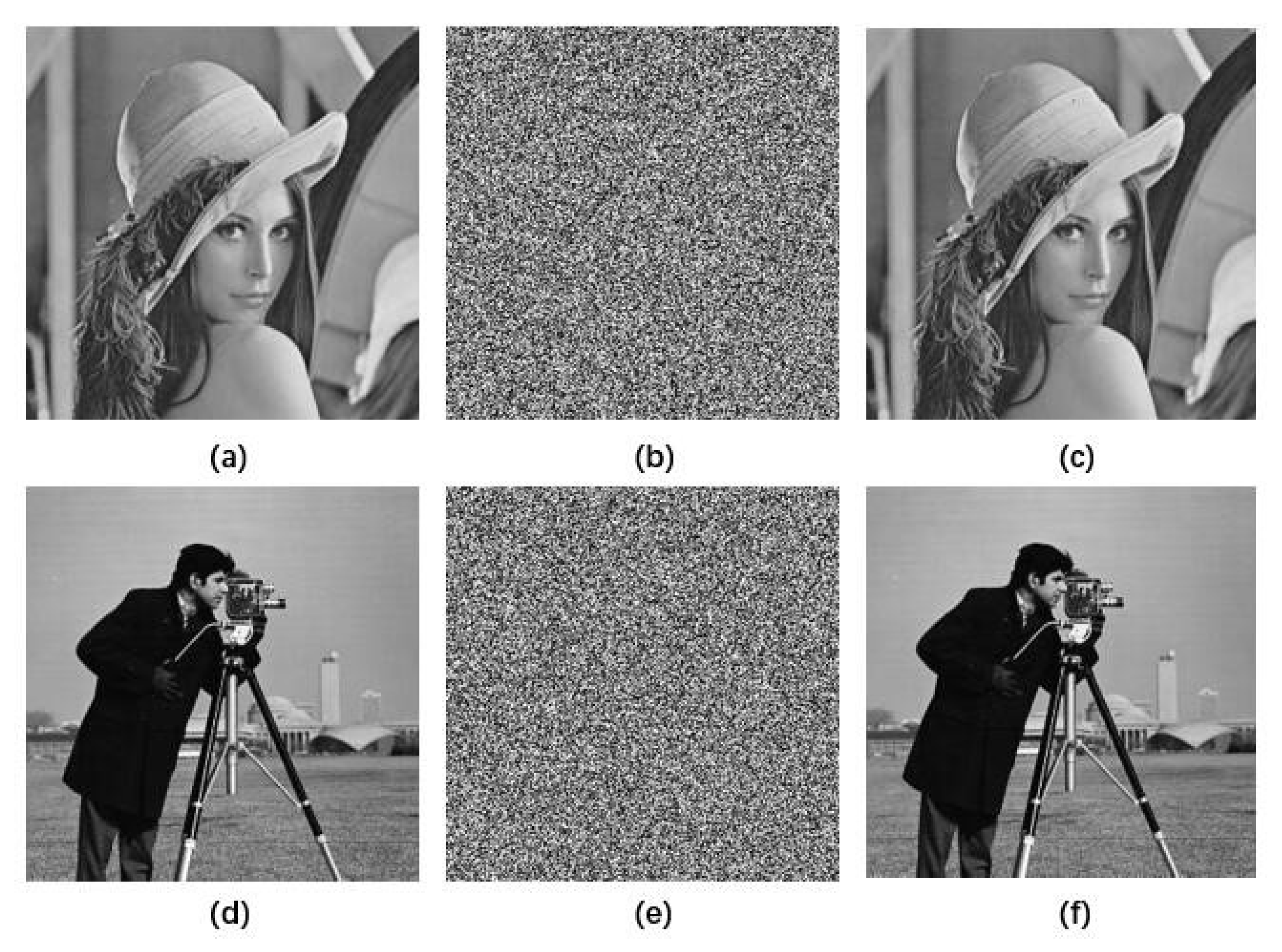 Entropy Free Full Text A Novel Image Encryption Scheme Based On A Non Linear Cross Coupled