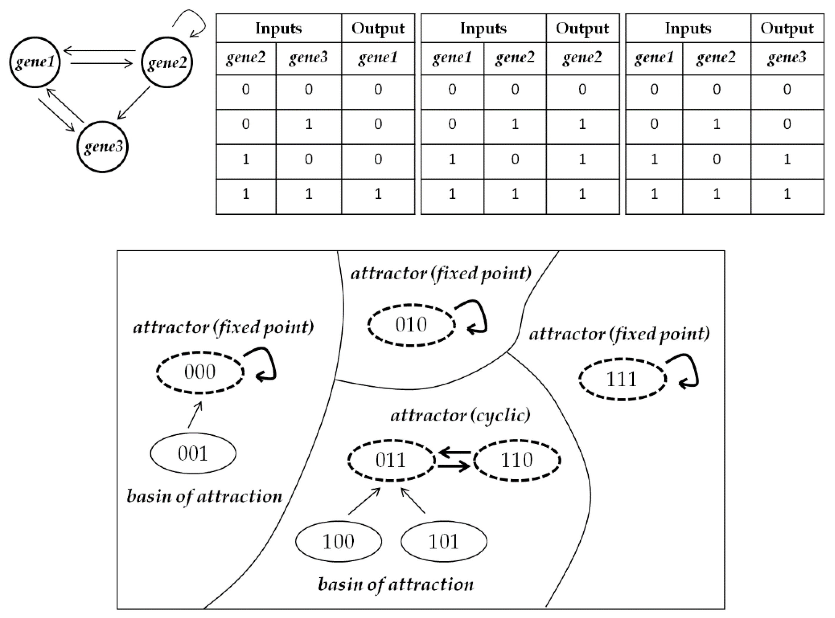 Antifragility Predicts the Robustness and Evolvability of Biological Networks through Multi ...