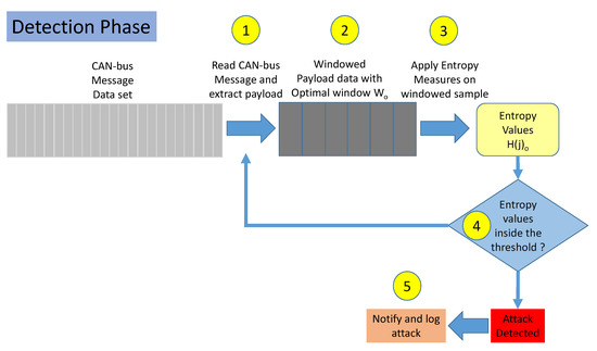 On the Application of Entropy Measures with Sliding Window for ...
