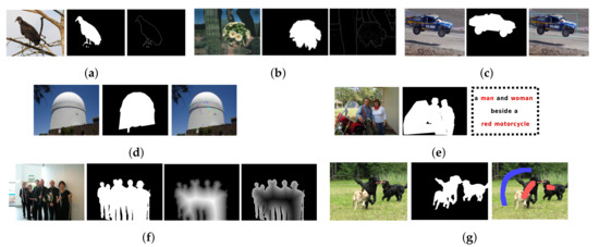 Entropy | Free Full-Text | Salient Object Detection Techniques in ...