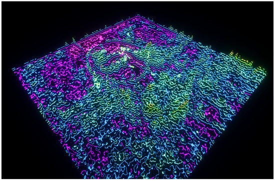 Generative Art with Swarm Landscapes