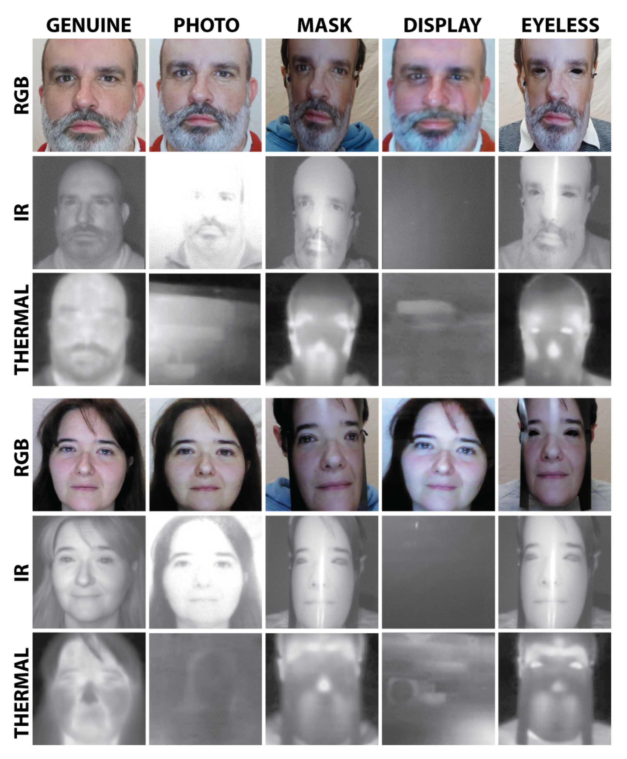 Convolutional Neural Network Approach for Multispectral Facial Presentation Attack Detection in ...