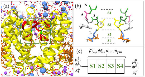 Application of a Statistical and Linear Response Theory to Multi-Ion ...