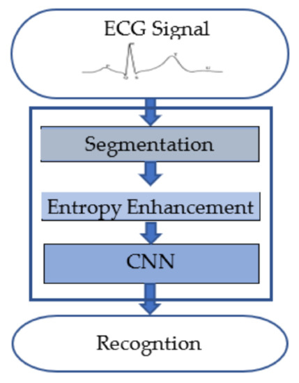 Using Convolutional Neural Network and a Single Heartbeat for ECG Biometric Recognition