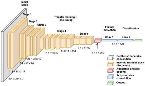 Boosting COVID-19 Image Classification Using MobileNetV3 and Aquila ...