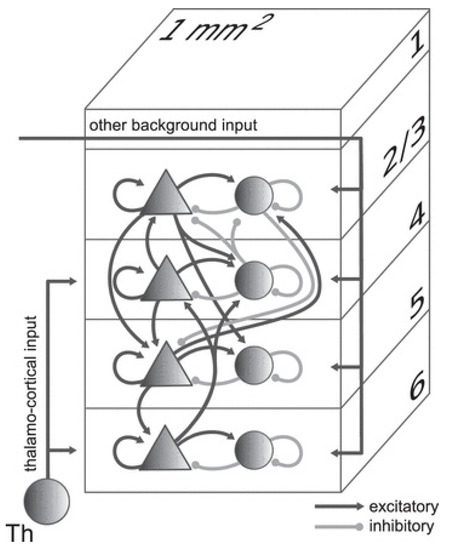 Entropy | Special Issue : Uncertainty in Large Neural Systems ...