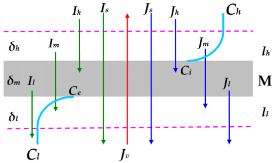 Modelling of the Electrical Membrane Potential for Concentration ...
