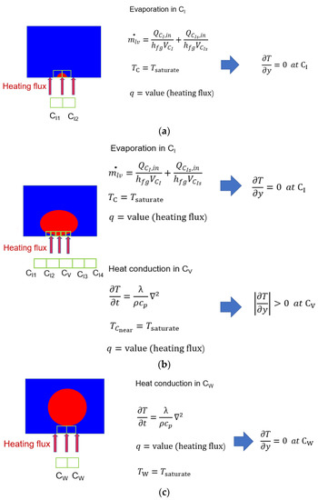Entropy Generation Analysis of the Flow Boiling in Microgravity Field