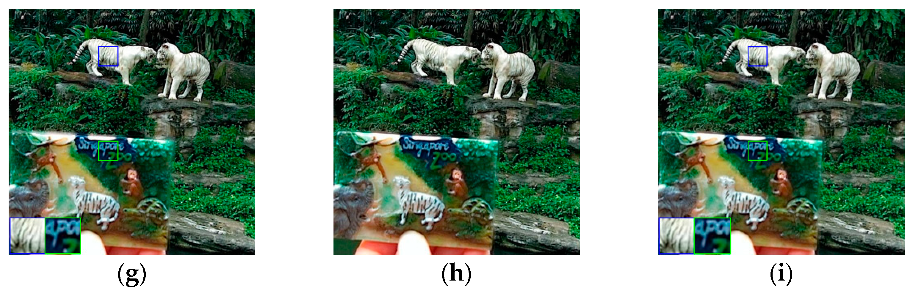 Multi-Focus Image Fusion Based on Multi-Scale Generative Adversarial ...