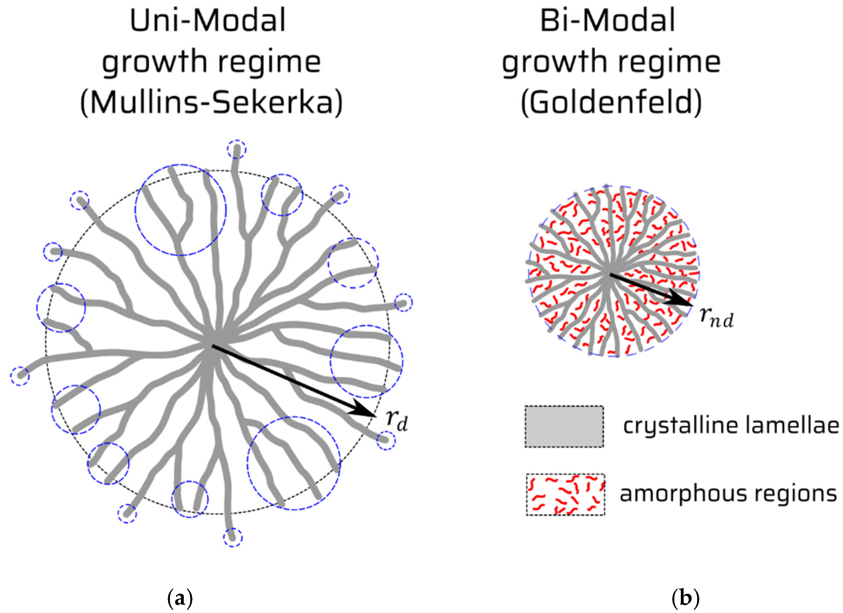 Spherulites: How Do They Emerge at an Onset of Nonequilibrium Kinetic ...