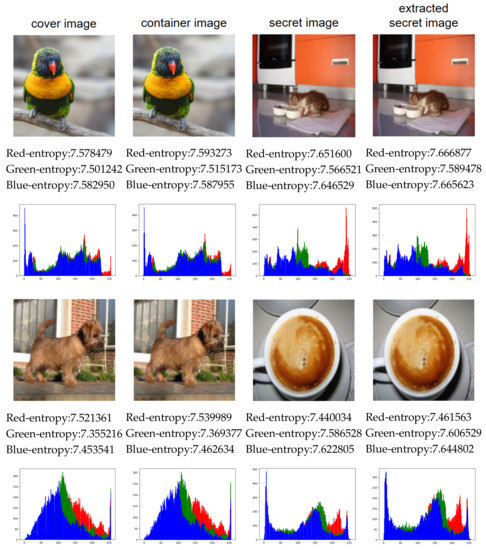 Deep Image Steganography Using Transformer and Recursive Permutation