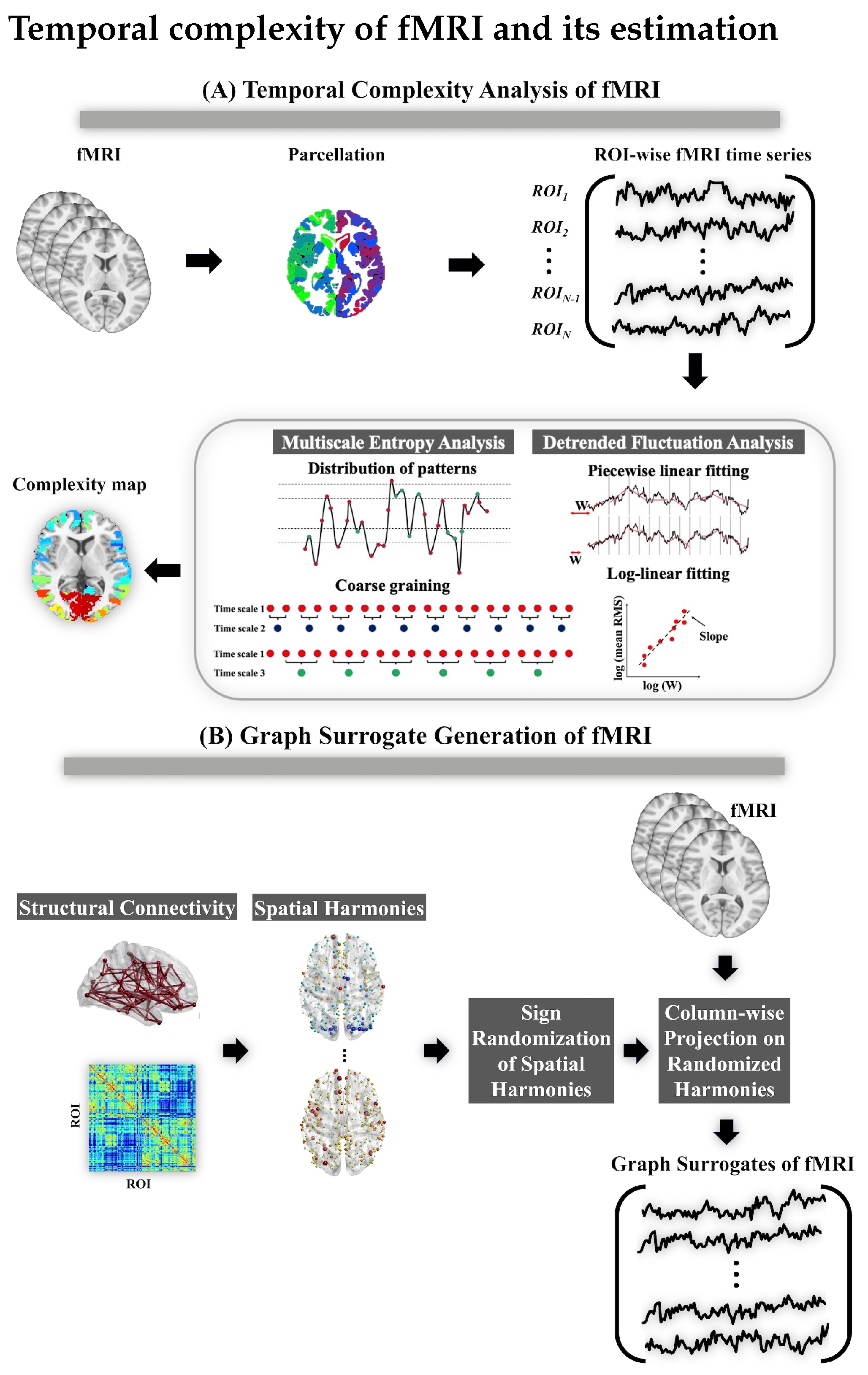 On the Spatial Distribution of Temporal Complexity in Resting State and Task Functional MRI