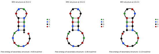 Design of DNA Storage Coding with Enhanced Constraints