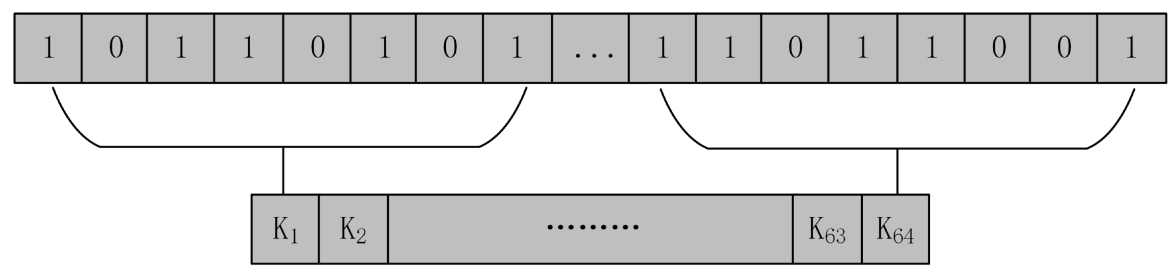 An Image Encryption Algorithm Based on Complex Network Scrambling and Multi-Directional Diffusion