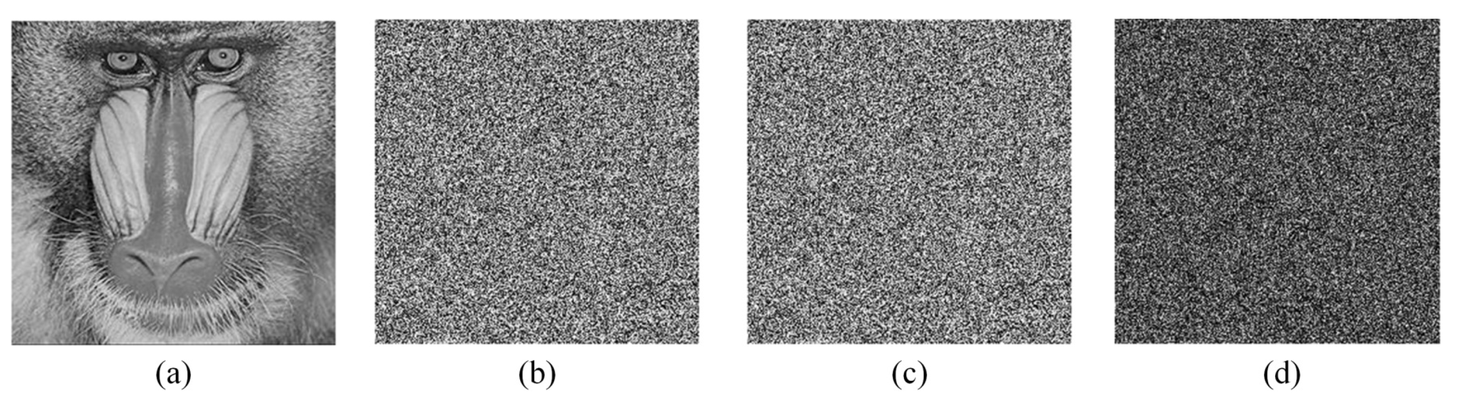 An Image Encryption Algorithm Based on Complex Network Scrambling and Multi-Directional Diffusion