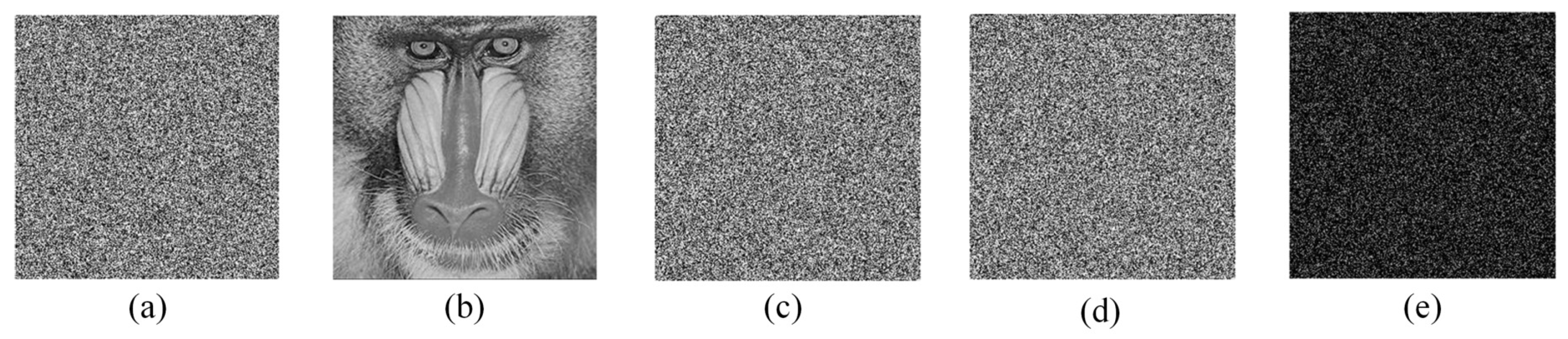 An Image Encryption Algorithm Based on Complex Network Scrambling and Multi-Directional Diffusion