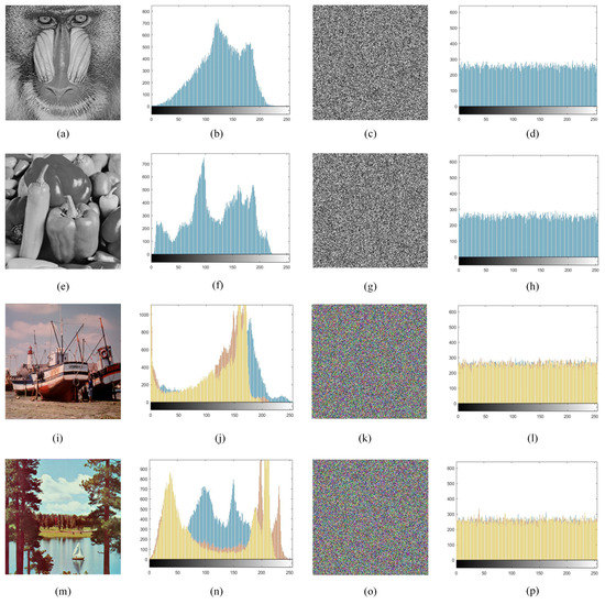 An Image Encryption Algorithm Based on Complex Network Scrambling and Multi-Directional Diffusion
