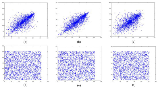 An Image Encryption Algorithm Based on Complex Network Scrambling and Multi-Directional Diffusion