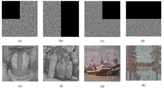 An Image Encryption Algorithm Based on Complex Network Scrambling and Multi-Directional Diffusion