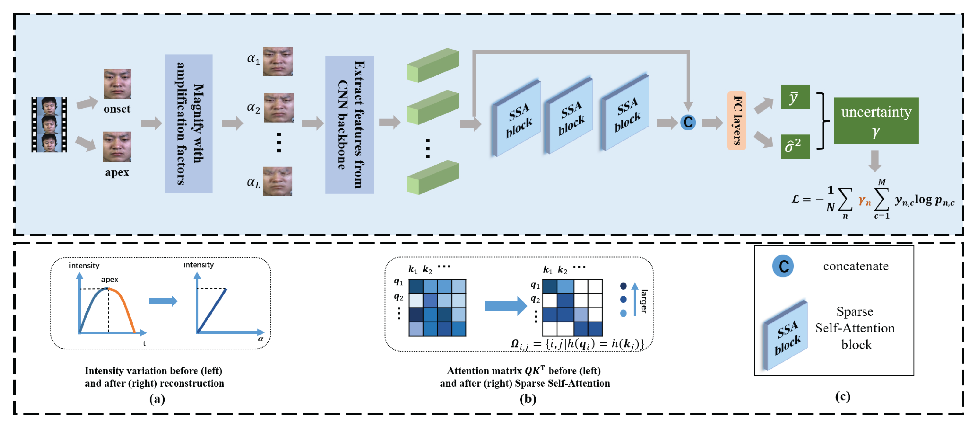 Micro-Expression Recognition Using Uncertainty-Aware Magnification-Robust Networks