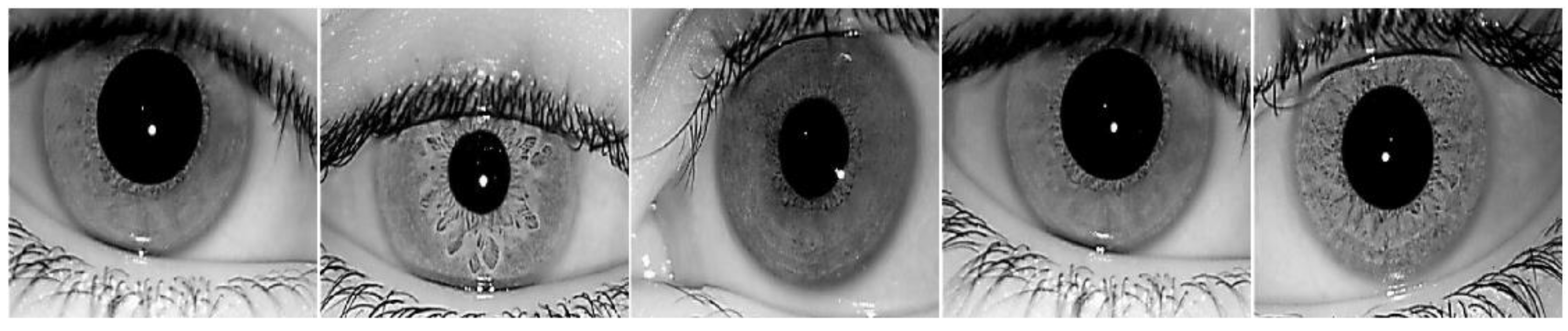 Entropy | Free Full-Text | Supervised Contrastive Learning and Intra-Dataset Adversarial ...