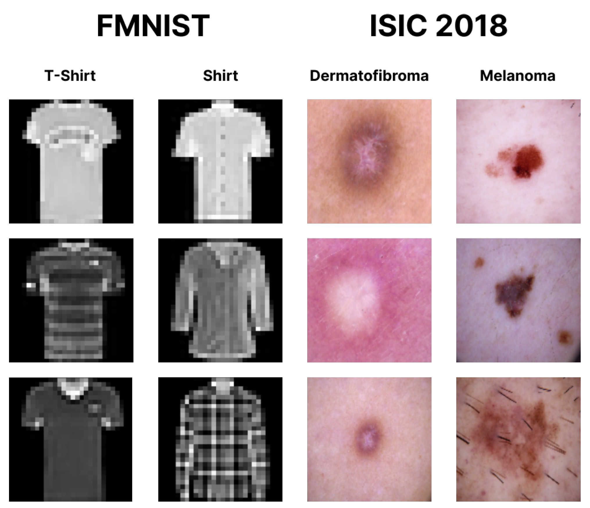 An Asymmetric Contrastive Loss for Handling Imbalanced Datasets
