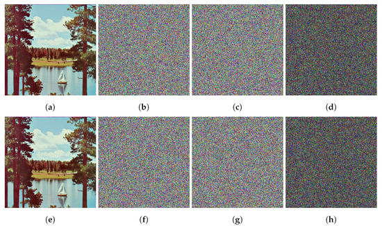A Lightweight Image Encryption Algorithm Based on Chaotic Map and Random Substitution
