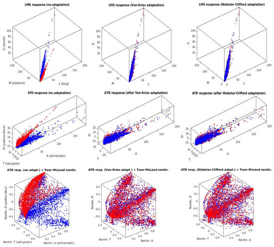 Information Flow in Biological Networks for Color Vision