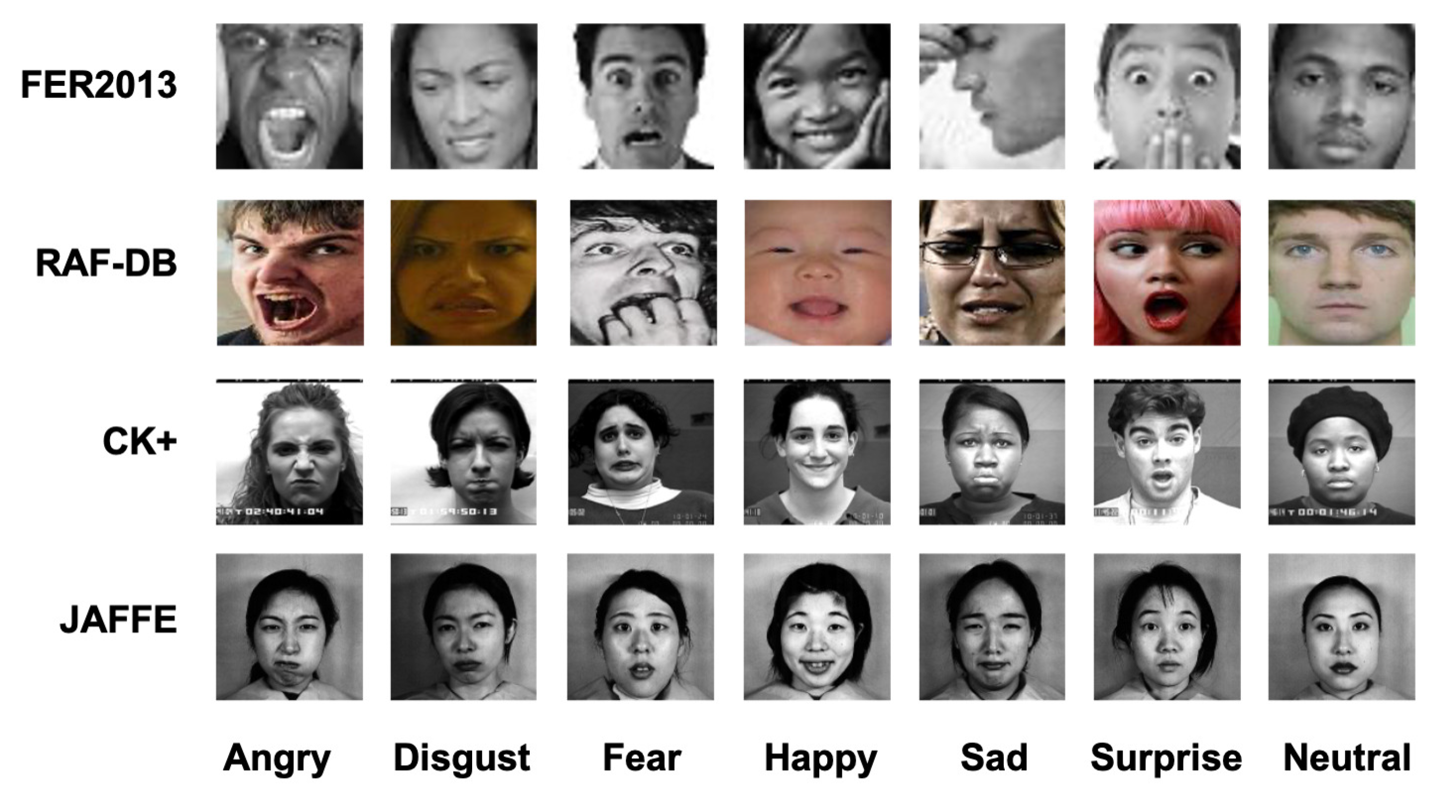 Entropy | Free Full-Text | Enhanced Sample Self-Revised Network for Cross-Dataset Facial ...